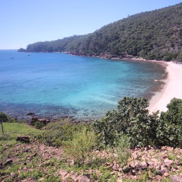 blue-pearl-bay-5 - Whitsunday Escape™