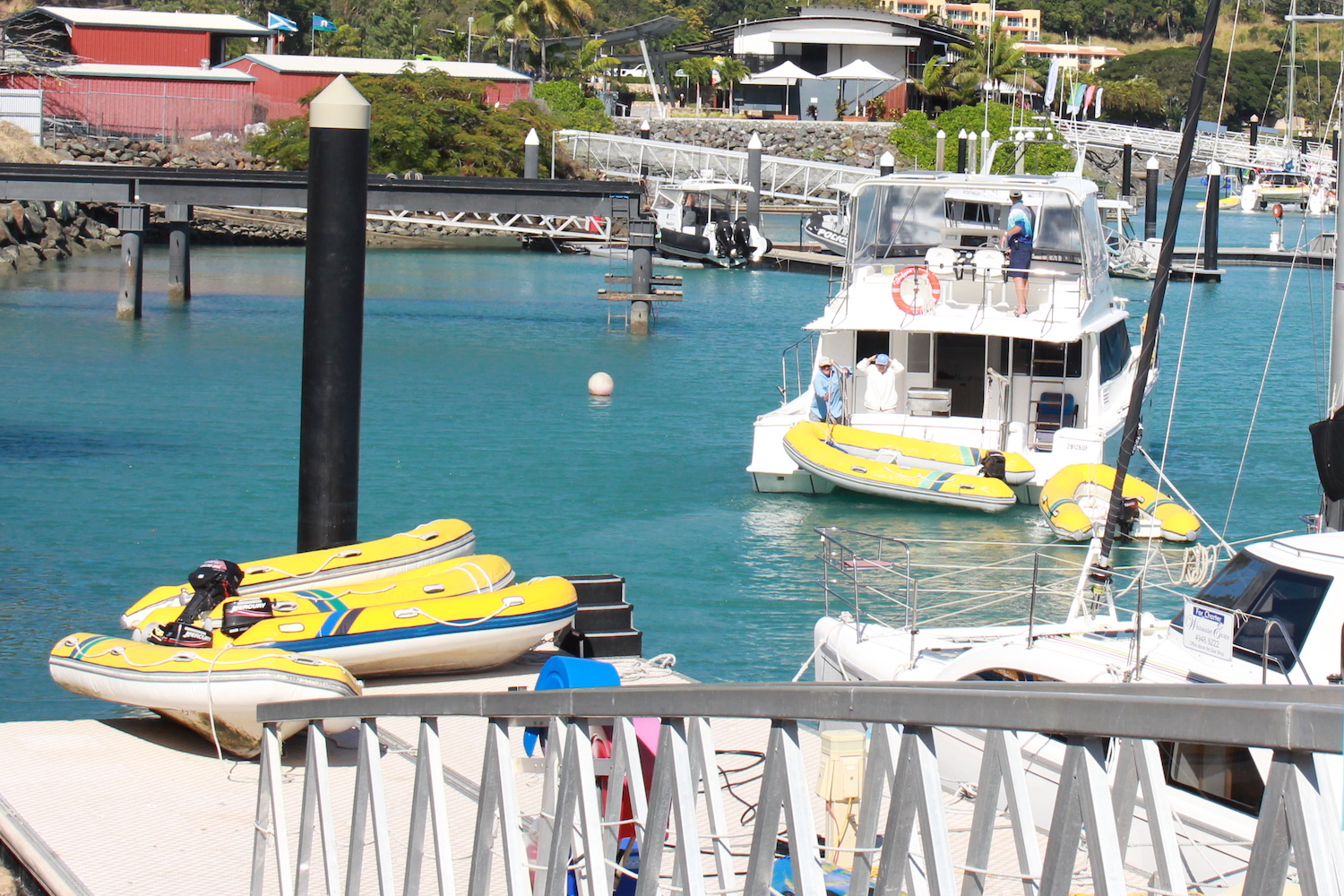 Staff driving boat off dock - Whitsunday Escape™