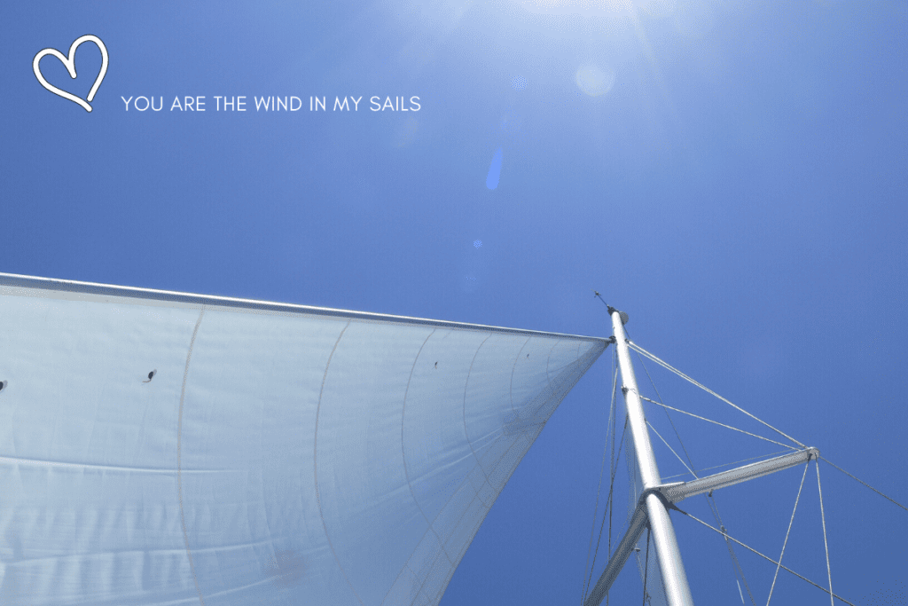WIND IN MY SAILS - Whitsunday Escape
